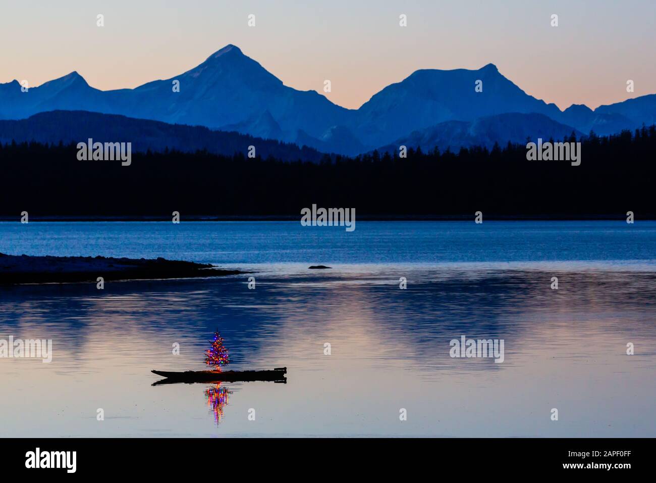 A Christmas tree, setting in a kayak, floats in Glacier Bay. (Taken ...