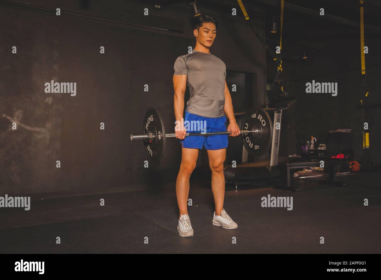 Male and female exercising in gym. Sport, fitness, weightlifting and ...