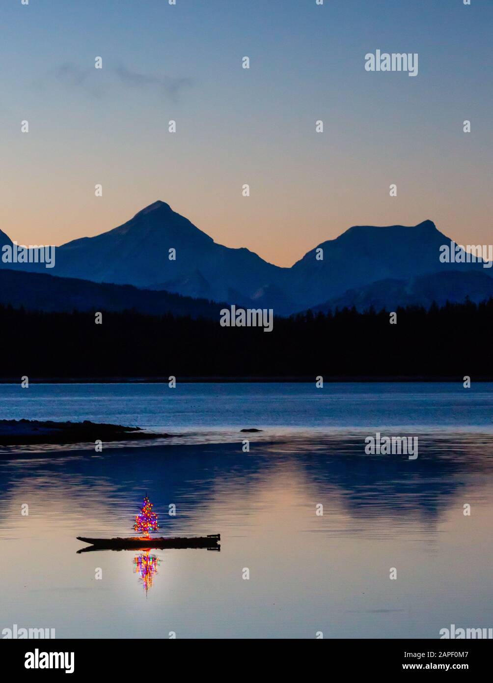 A Christmas tree, setting in a kayak, floats in Glacier Bay. (Taken ...
