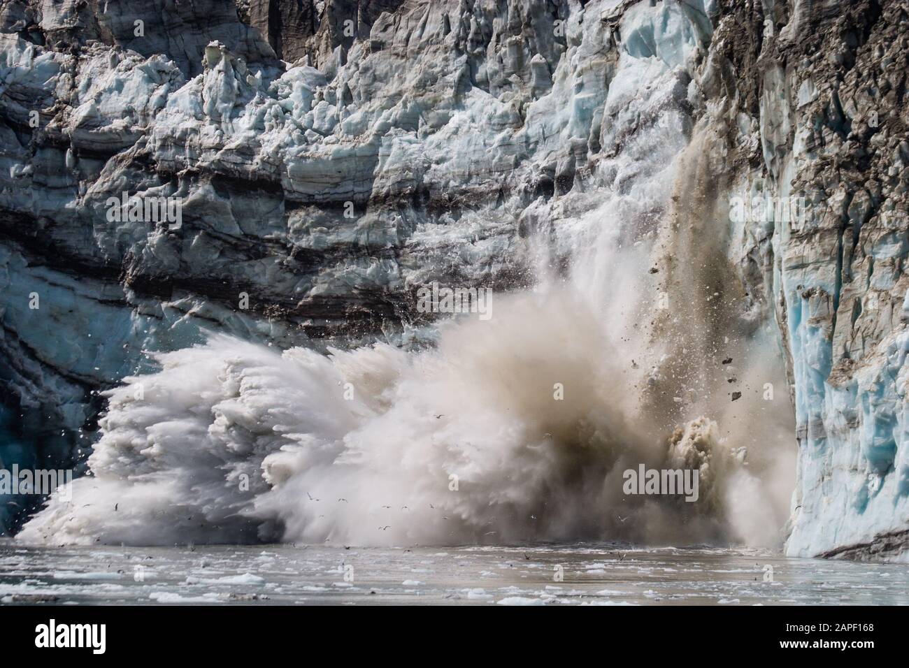 A very large calving event shows ice falling and water splashing away ...