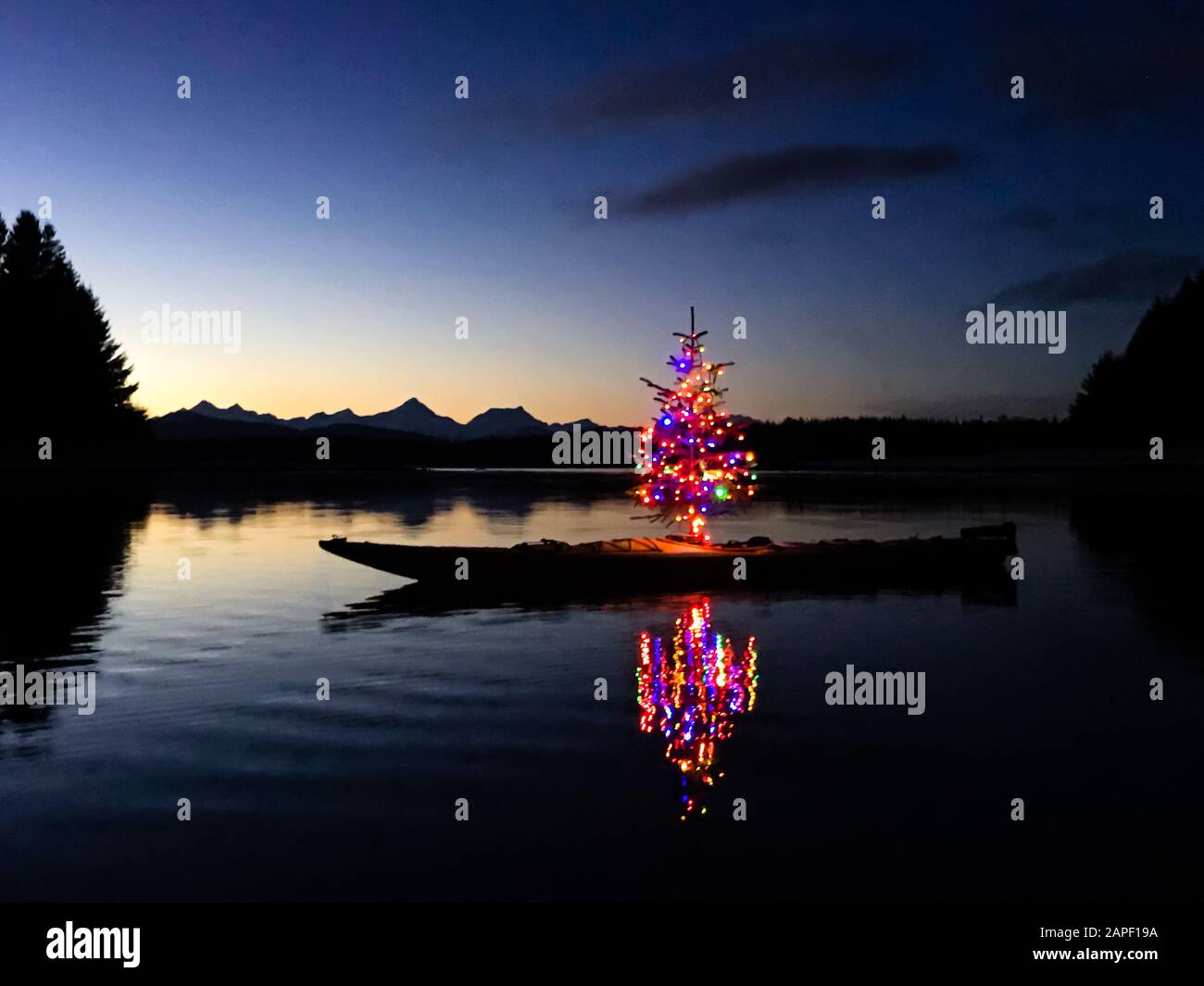 A Christmas tree, setting in a kayak, floats in Glacier Bay. (Taken ...