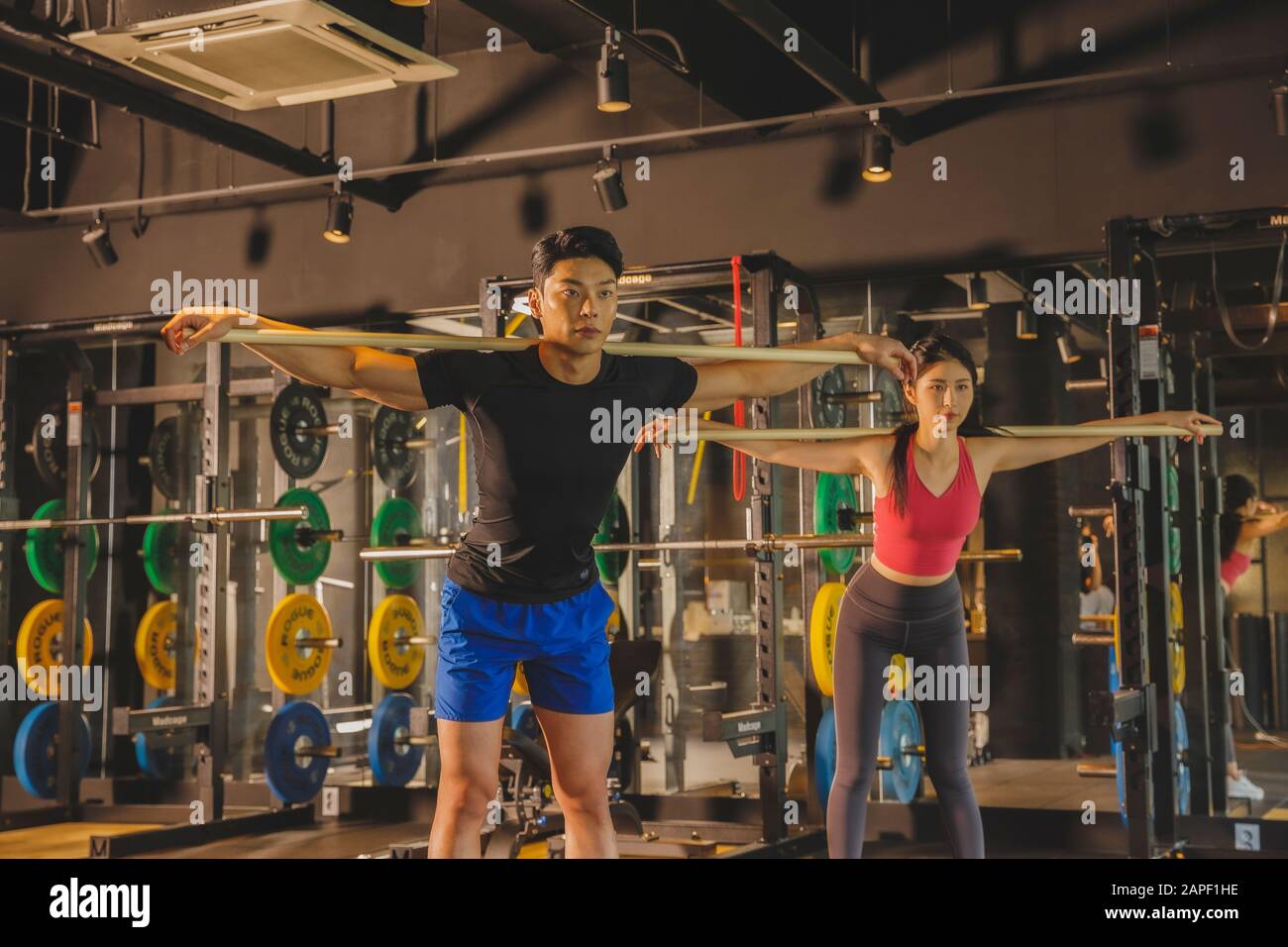Male and female exercising in gym. Sport, fitness, weightlifting and ...