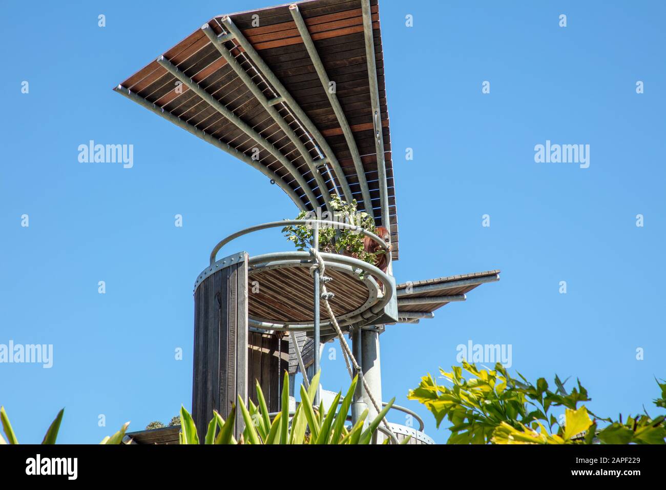 Orangutans seen on platforms of a modern construction representing ...