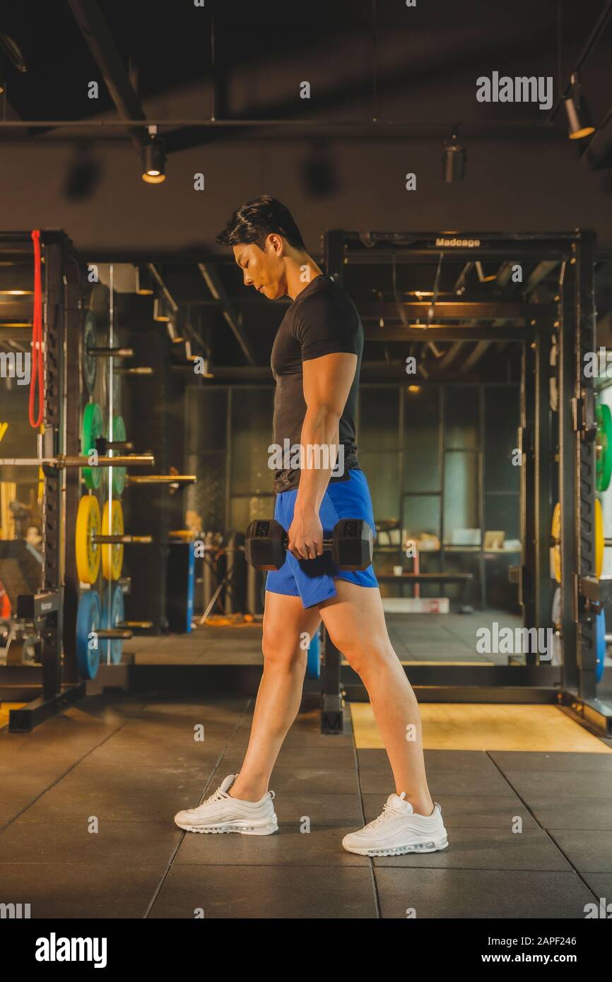 Male and female exercising in gym. Sport, fitness, weightlifting and ...