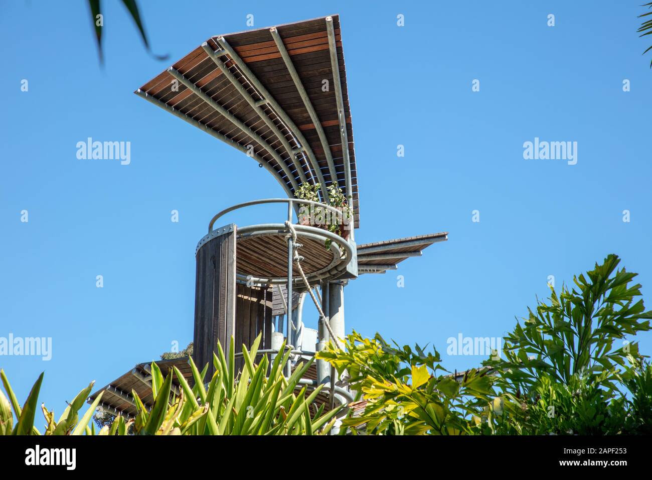Orangutans seen on platforms of a modern construction representing ...