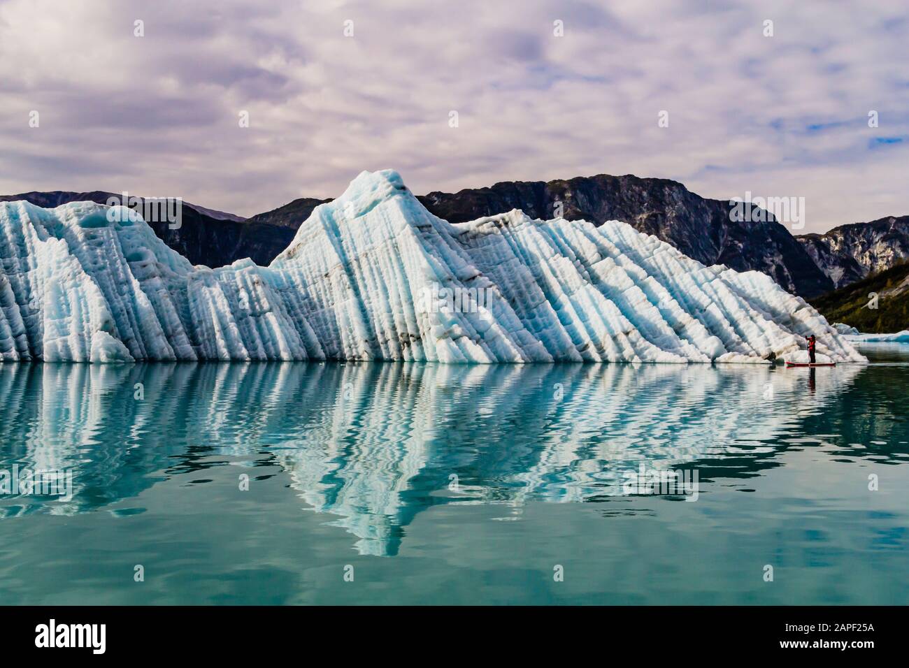 A stand up paddleboarder (SUP) is dwarfed by a huge ice berg that she ...