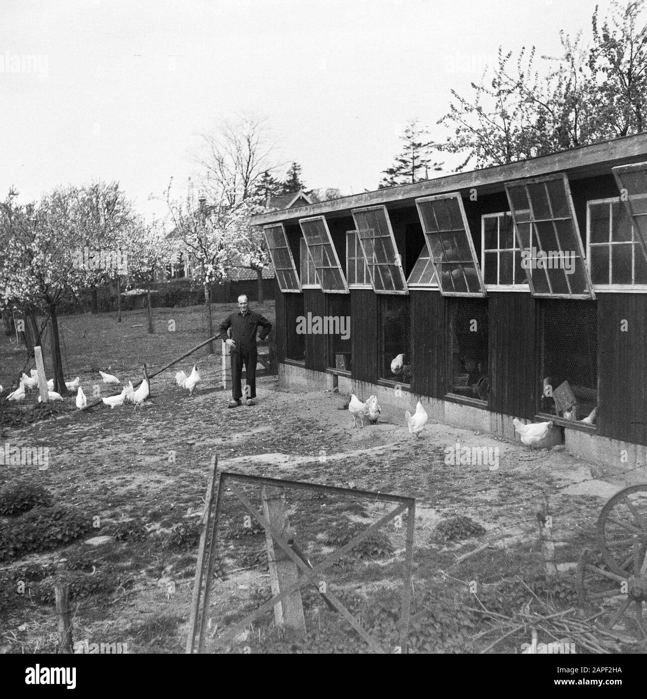 Farm in Angerlo Description: Farmer at the chicken coop Date: 1932 ...