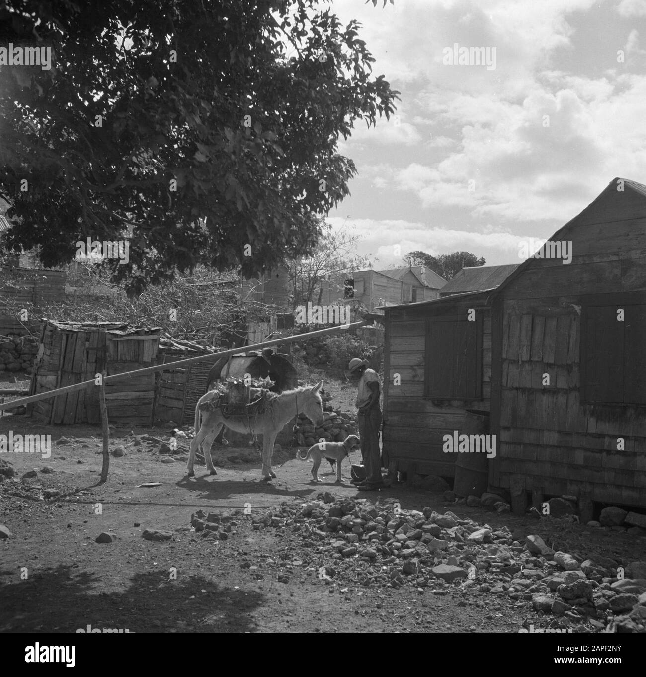 Journey to Suriname and the Netherlands Antilles Description: Farm on ...