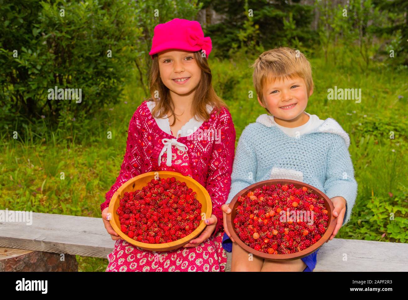 Berry picking alaska hi-res stock photography and images - Alamy