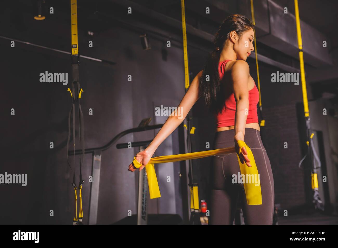 Male and female exercising in gym. Sport, fitness, weightlifting and ...