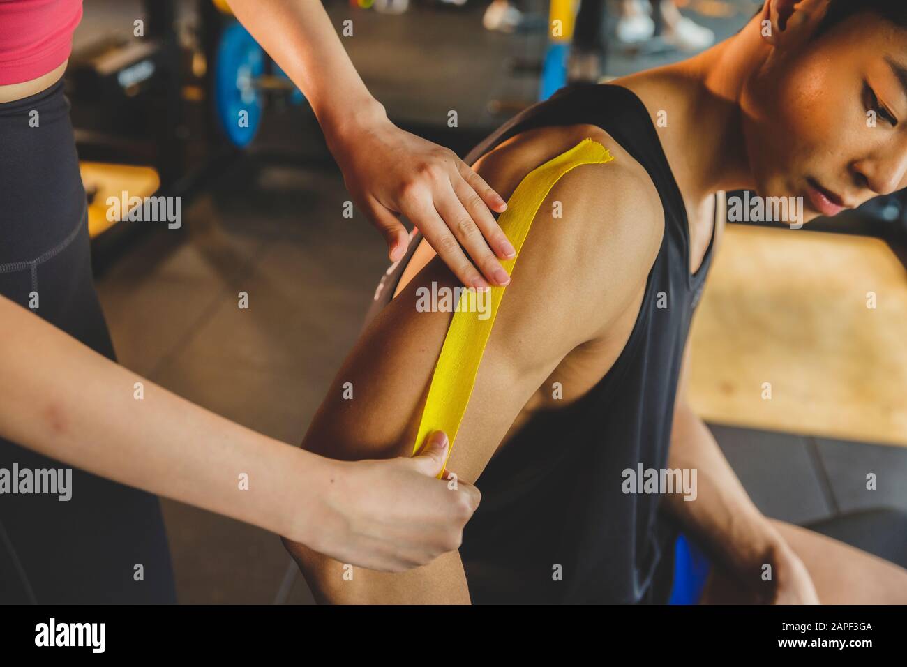 Male and female exercising in gym. Sport, fitness, weightlifting and ...
