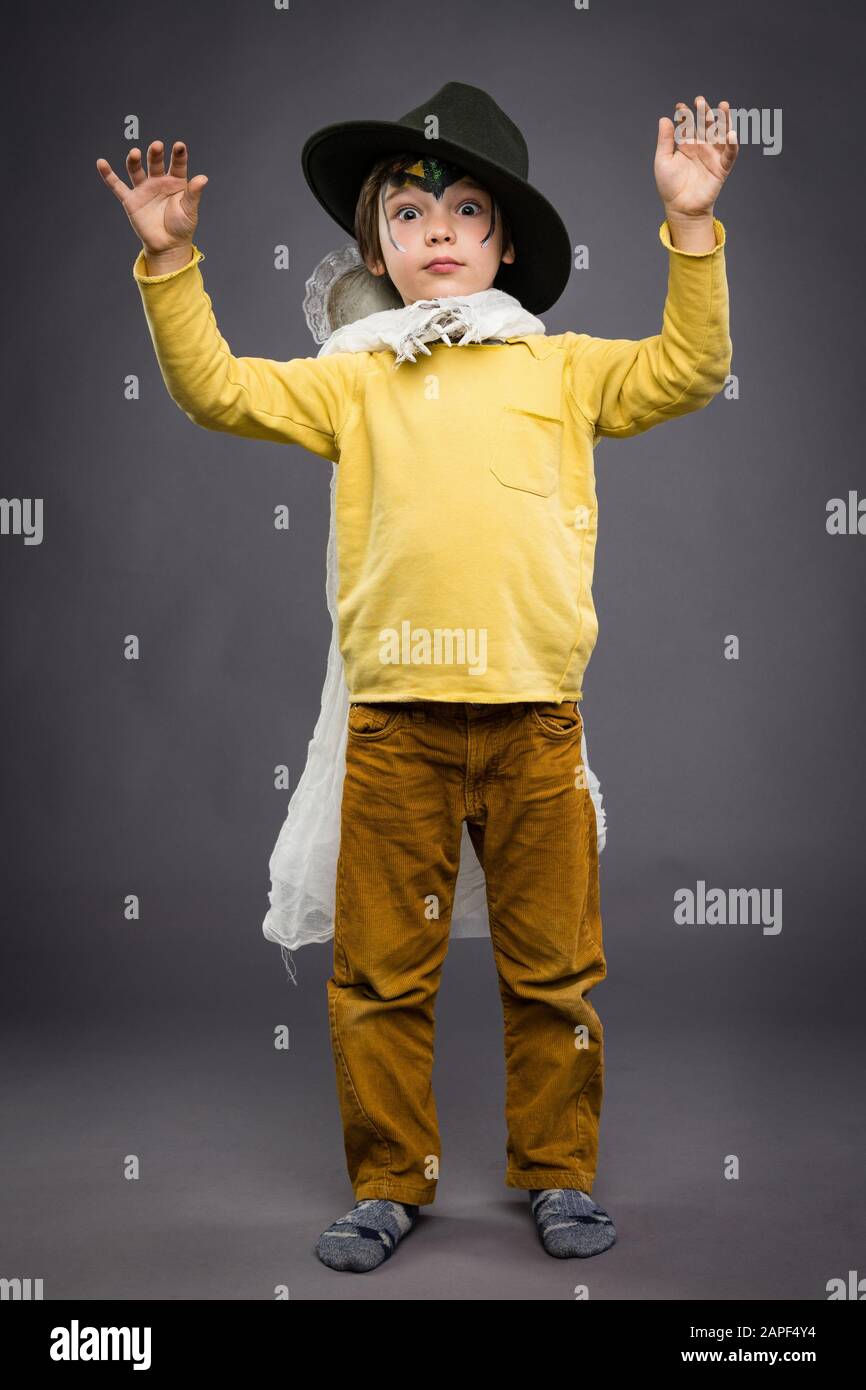 Cheerful little boy in a hat holds a spook, graybackground. Halloween ...