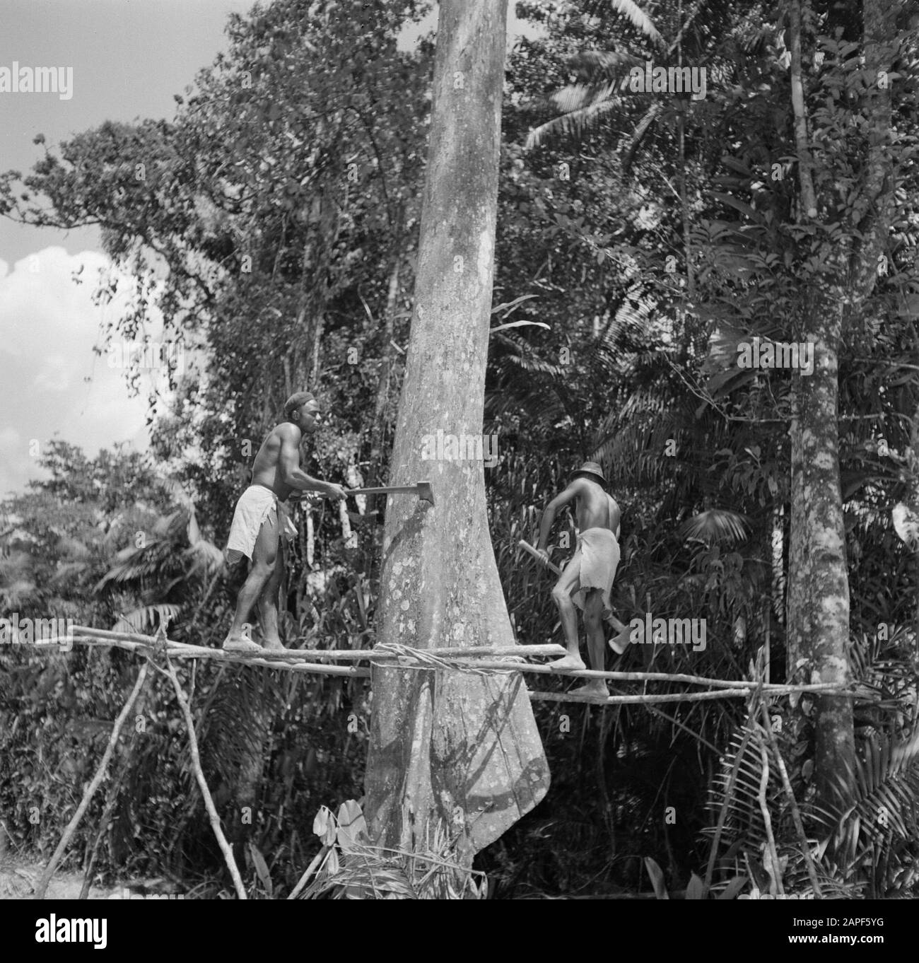 Forestry and wood industry Black and White Stock Photos & Images - Alamy