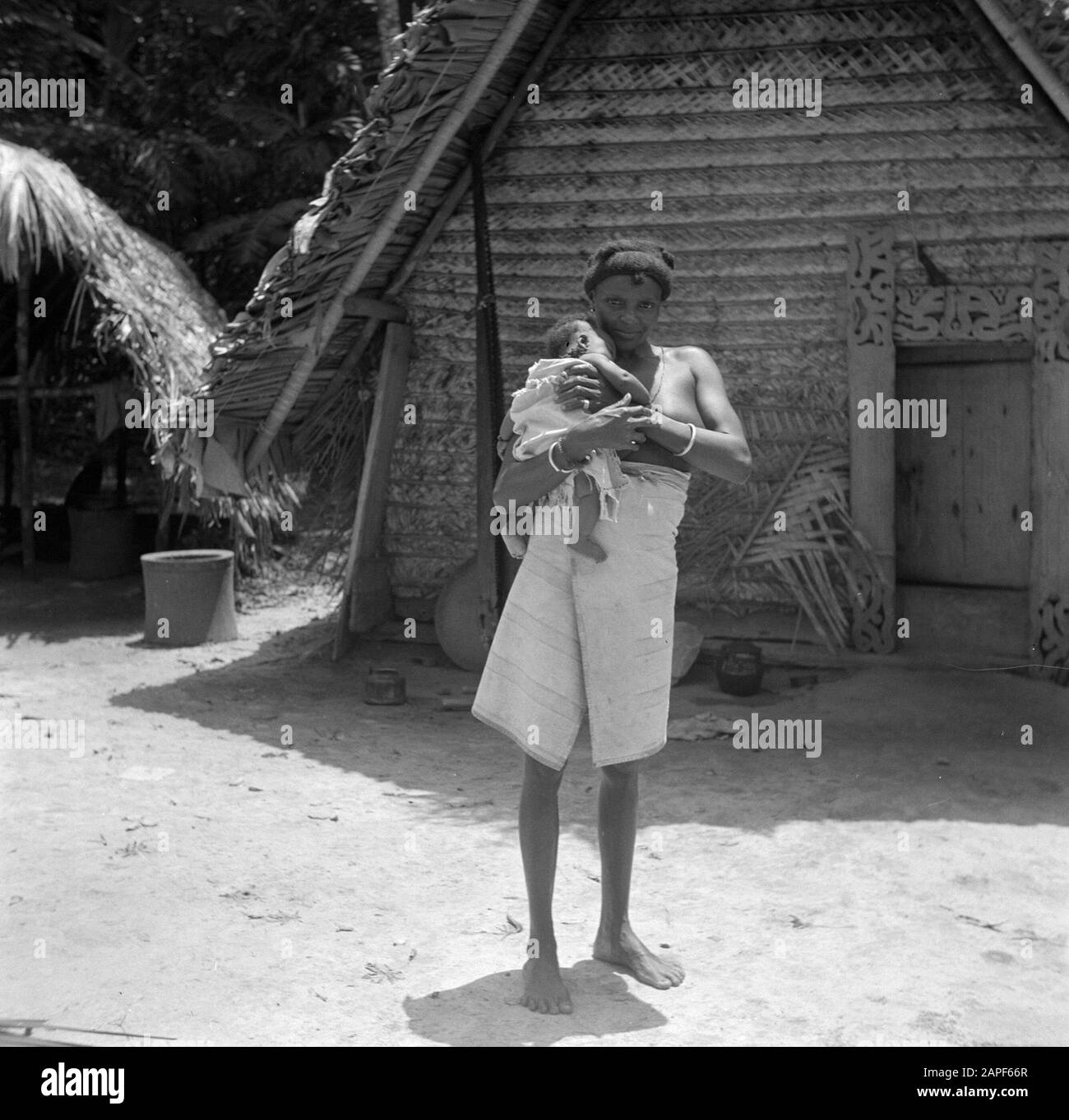 Travel to Suriname and the Netherlands Antilles Description: Forest ...