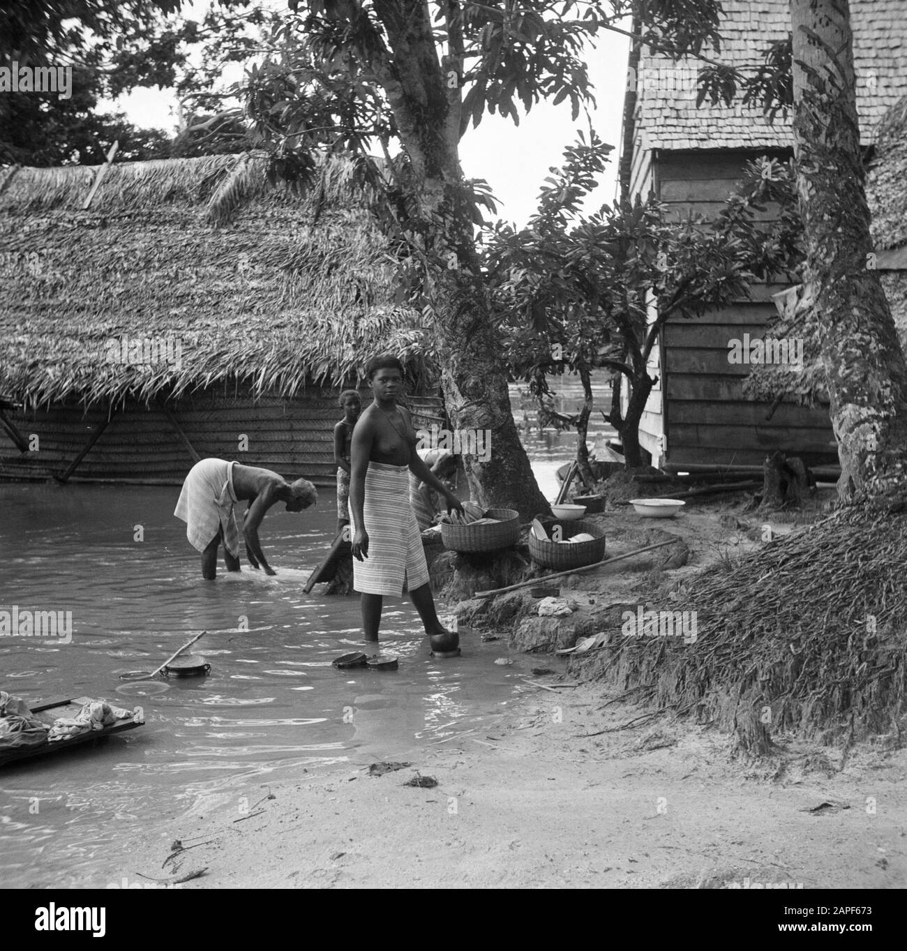 Travel to Suriname and the Netherlands Antilles Description: Forest ...