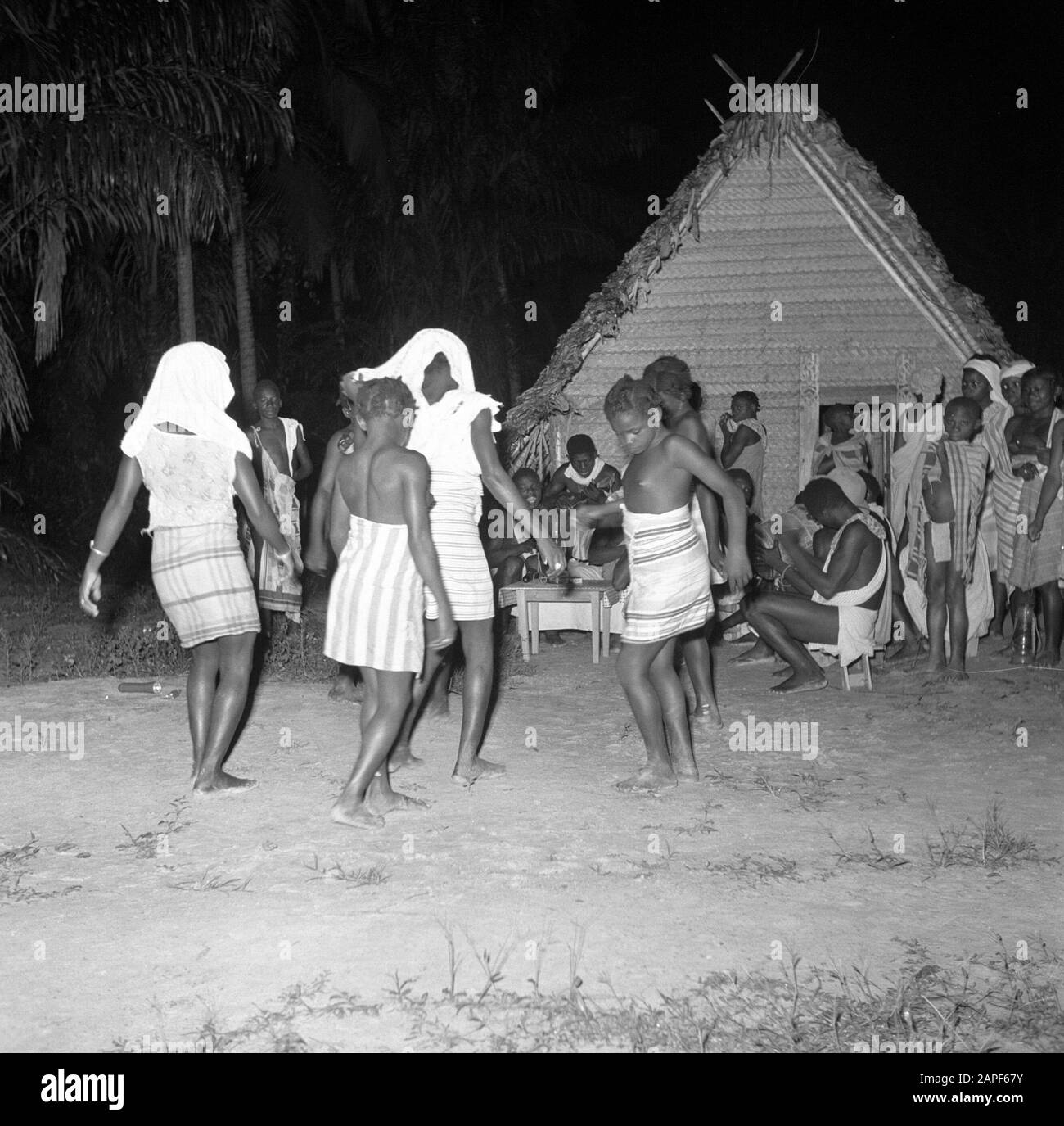 Travel to Suriname and the Netherlands Antilles Description: Forest ...