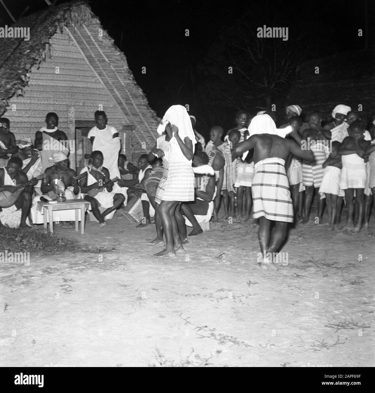Travel to Suriname and the Netherlands Antilles Description: Forest ...