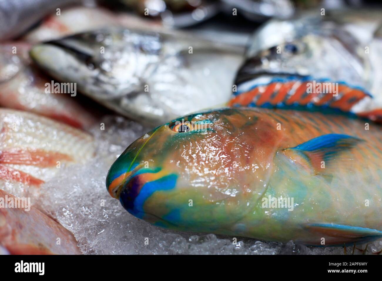 Fresh fish in ice on the market Stock Photo - Alamy