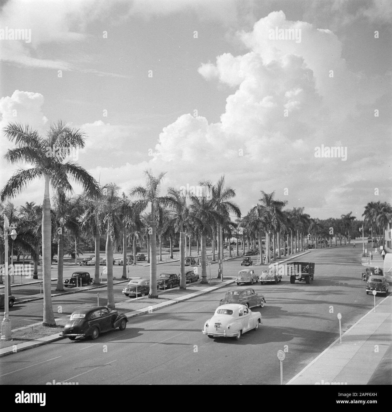 Boulevard landscape Black and White Stock Photos & Images - Alamy