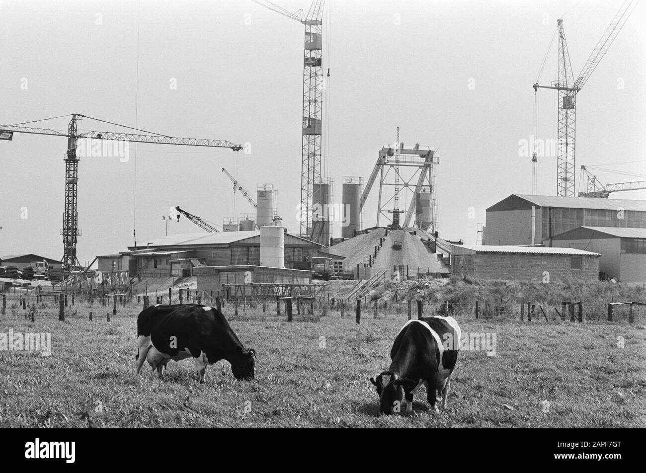 Construction nuclear reactor Limestone (near Kleve); grazing cows with ...