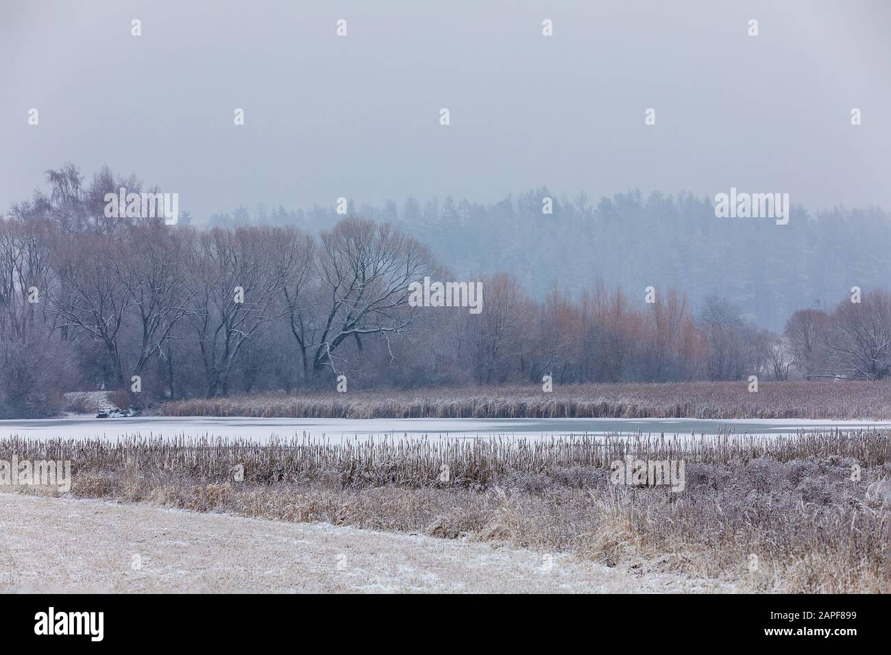 Winter european landscape with frozen pond covered with snow and heavy ...