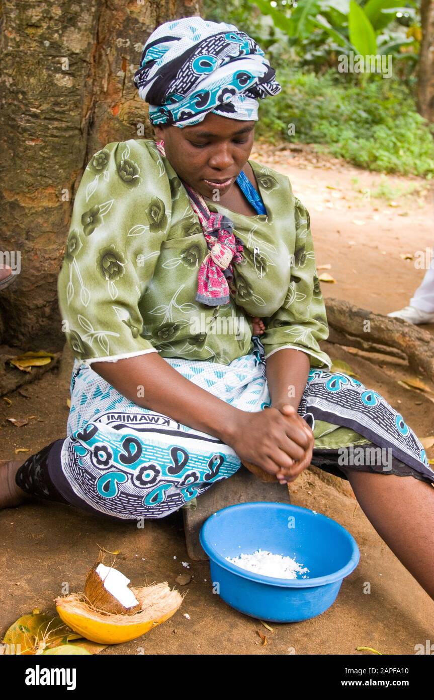 Zanzibar Tanzania 14/08/2010: Coconut processing Stock Photo - Alamy