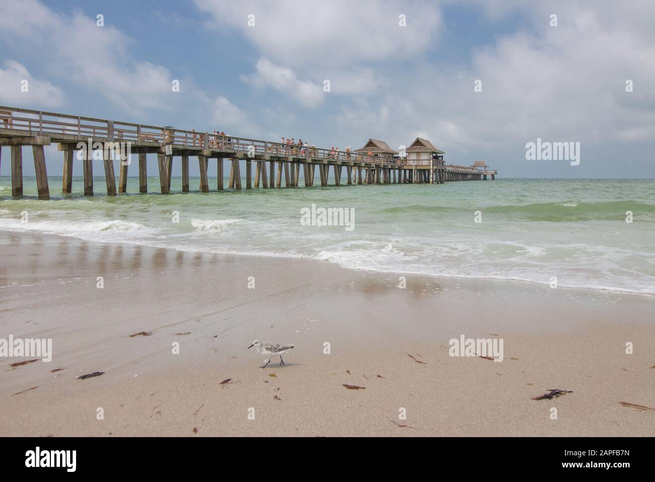 Southwest florida landscape hi-res stock photography and images - Alamy