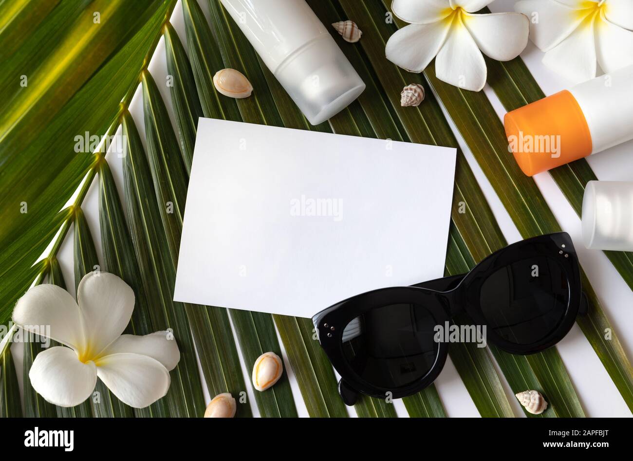 Summer template with greeting card, sunglasses, tropical palm leaf ...