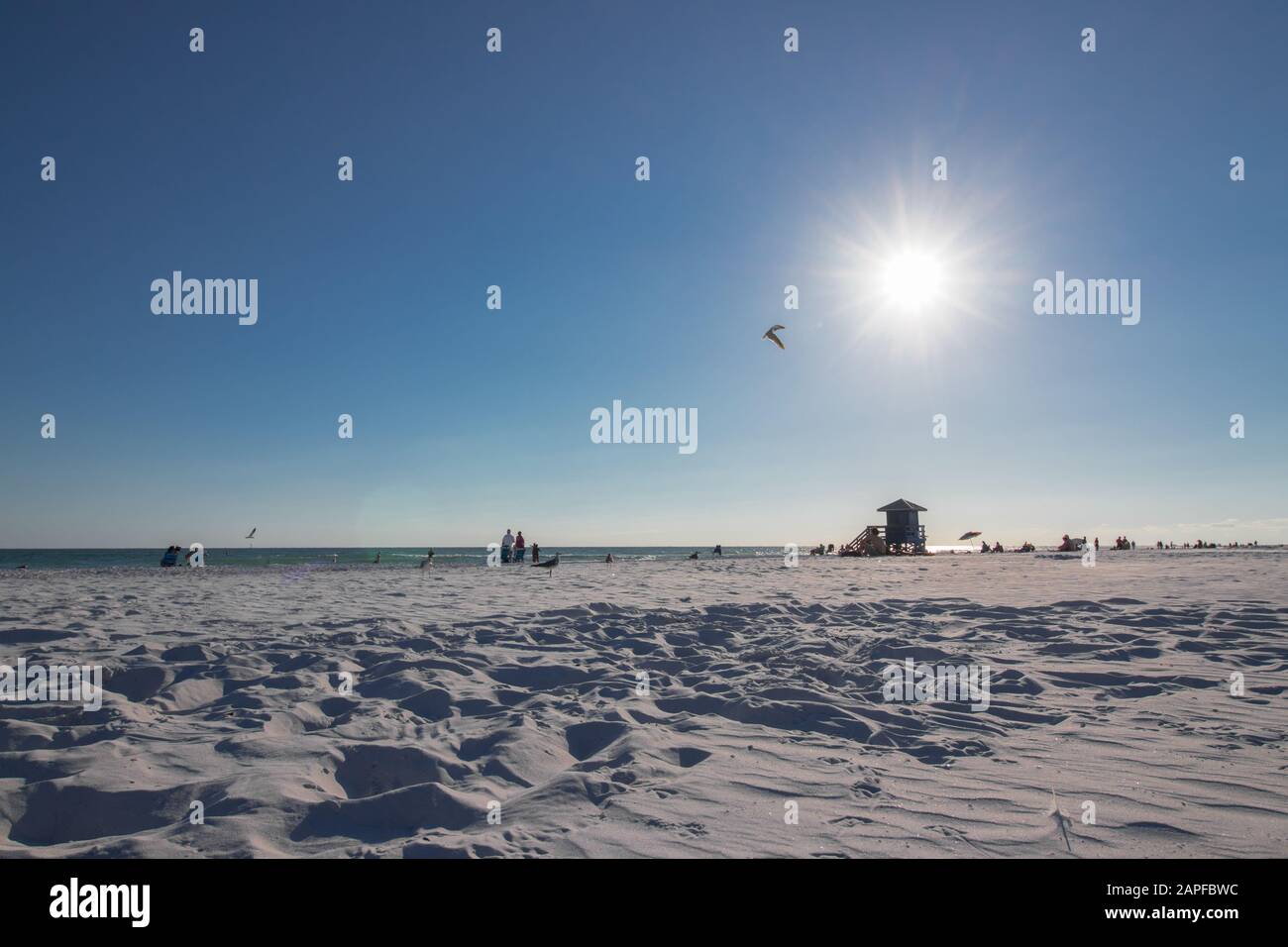 Virginia key florida aerial hi-res stock photography and images - Alamy