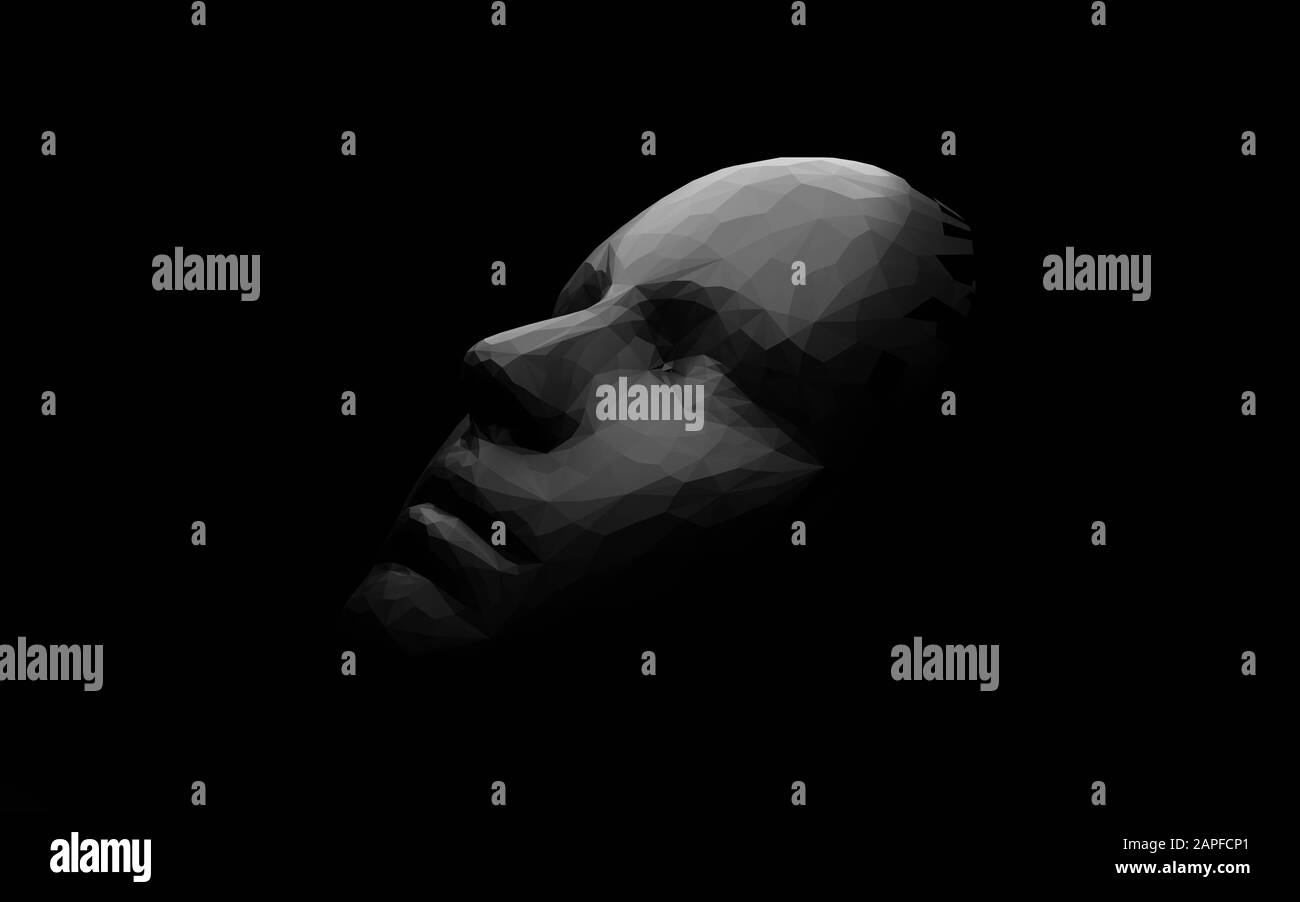 creative male or female face concept polygon surface mesh 3d ...