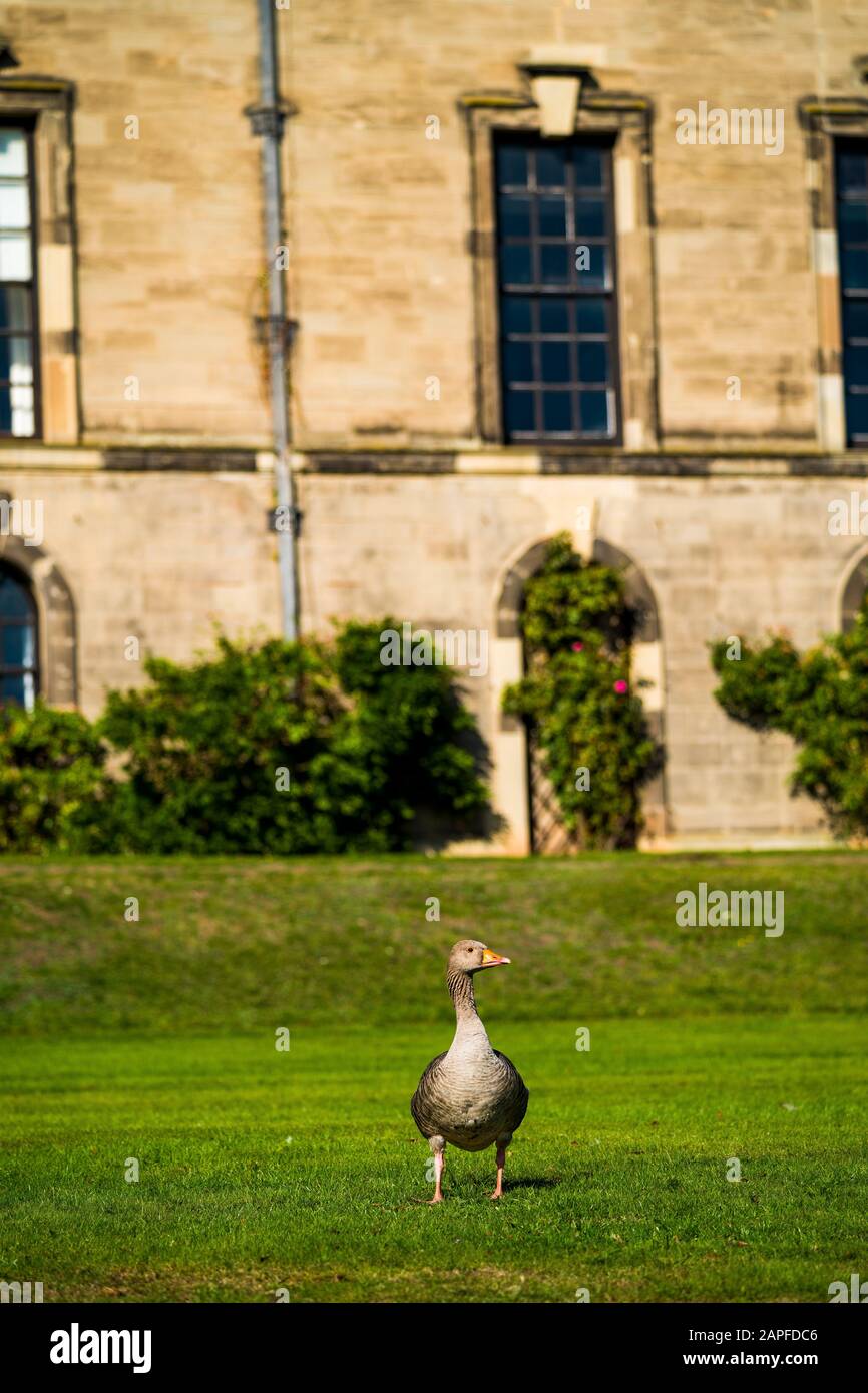 Stoneleigh abbey hi-res stock photography and images - Alamy