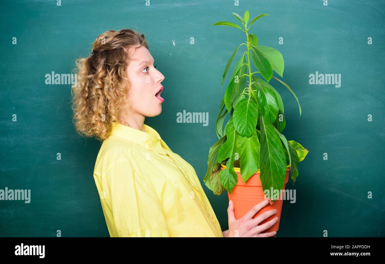 Pot plants classroom hi-res stock photography and images - Alamy
