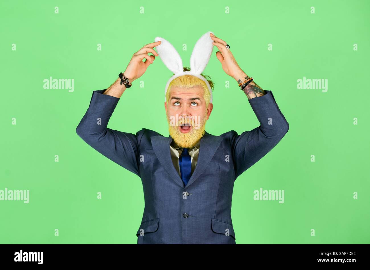 What a long ears. Bearded man touch bunny ears on head. Businessman ...