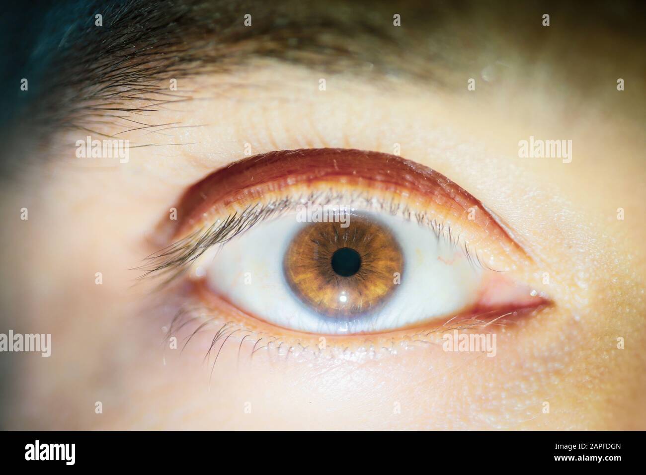 Macro image brown eye hi-res stock photography and images - Alamy