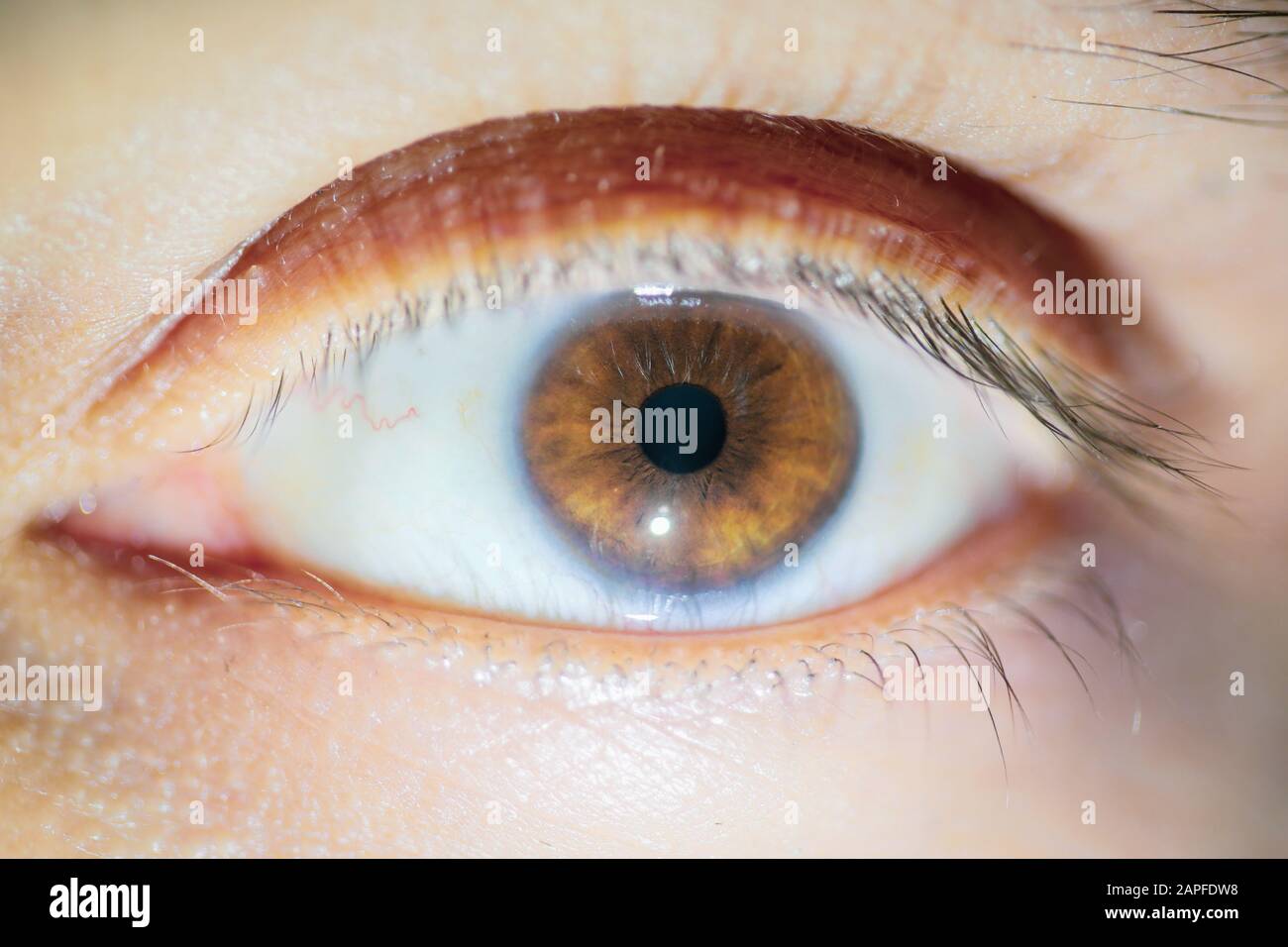 Eye macro dark human hi-res stock photography and images - Alamy