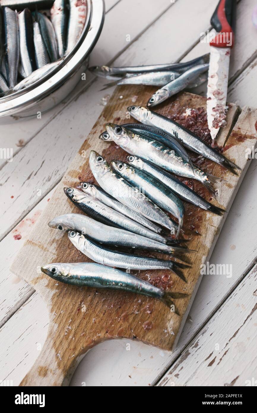 Cleaning fresh anchovies Stock Photo - Alamy