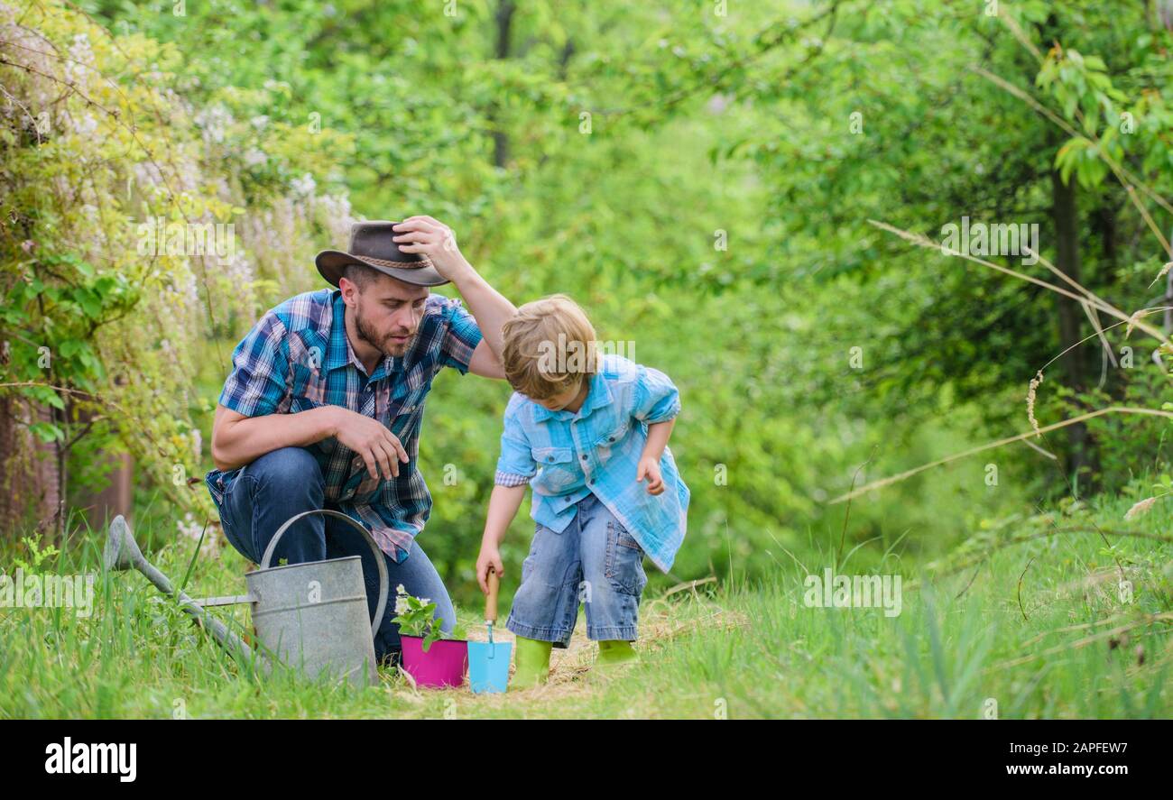 Planting flowers. Dad teaching little son care plants. Little helper in ...