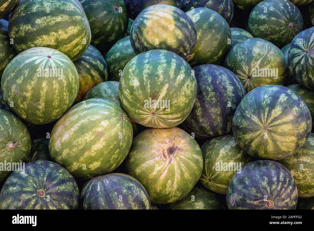Pile of watermelons hi-res stock photography and images - Alamy
