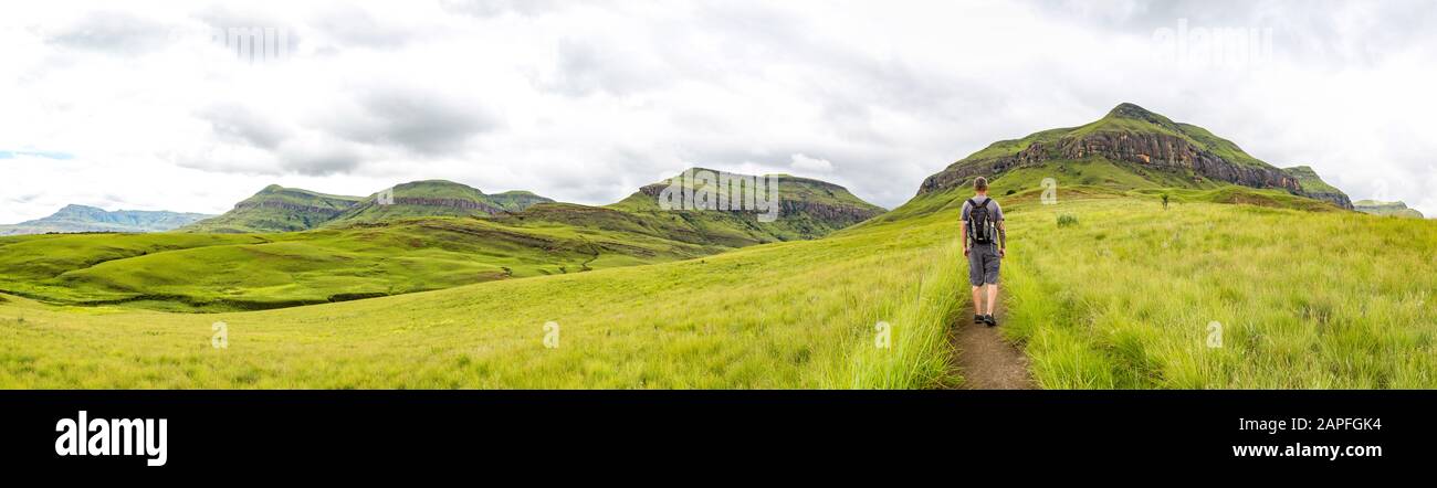 Man hiking on a small trail with a beautiful panorama of the green ...