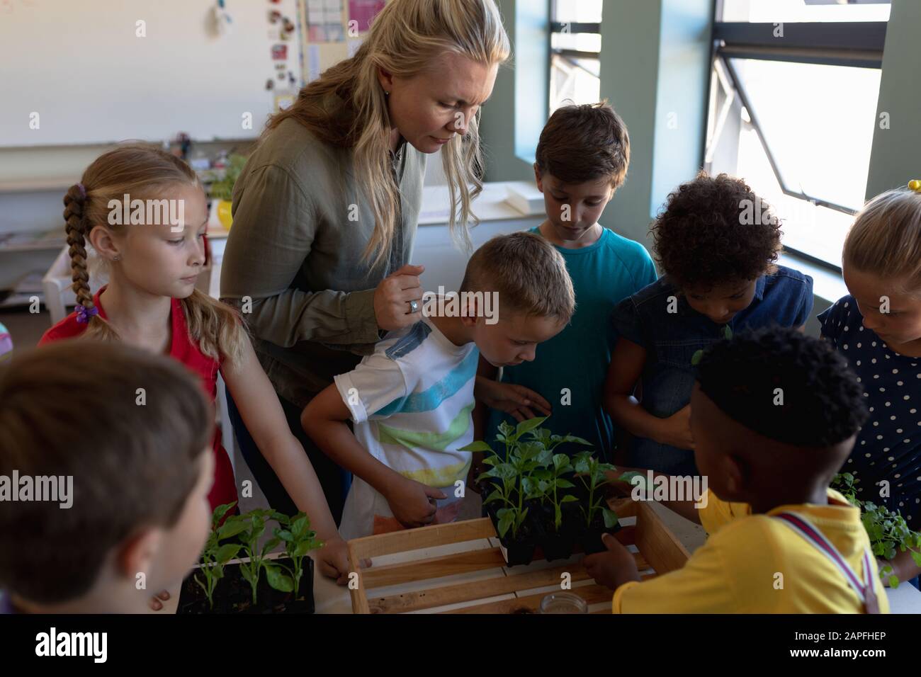 Female teacher around a box of plants for a nature study lesson in an ...