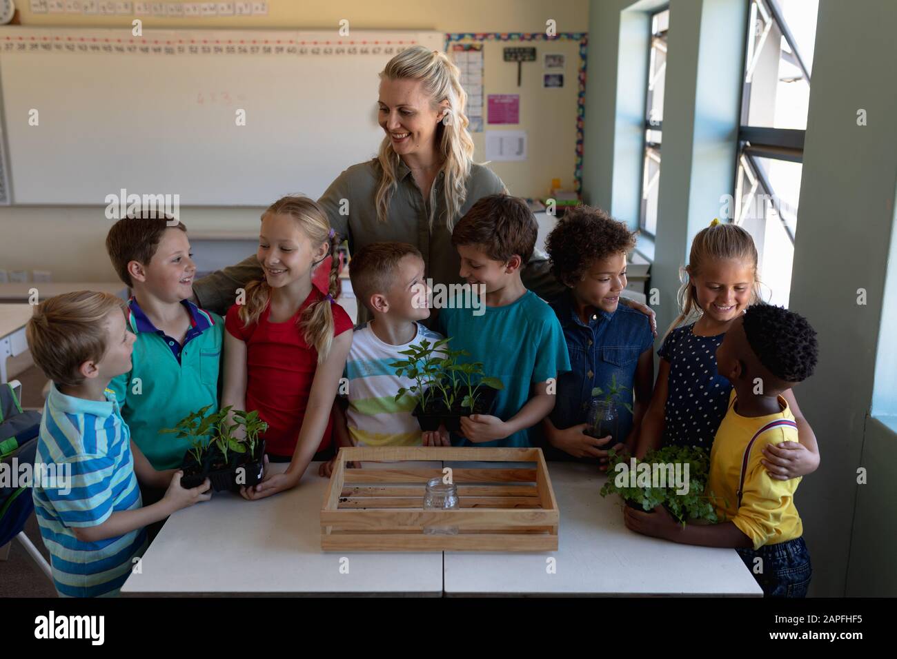 Female teacher around a box of plants for a nature study lesson in an ...