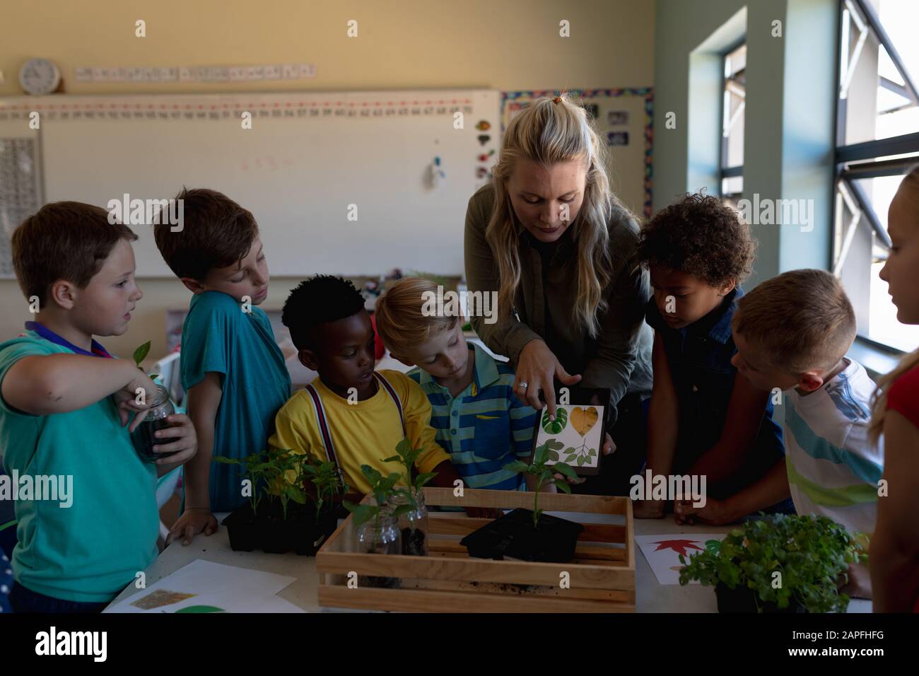 Female teacher around a box of plants for a nature study lesson in an ...