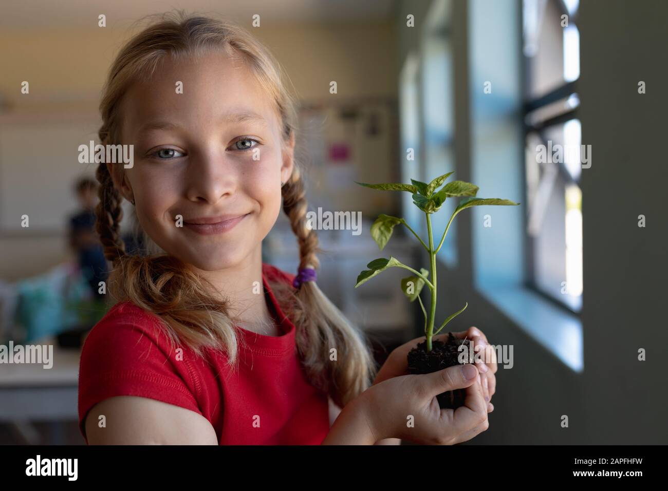 Schoolgirl standing holding a seedling plant in earth in an elementary ...