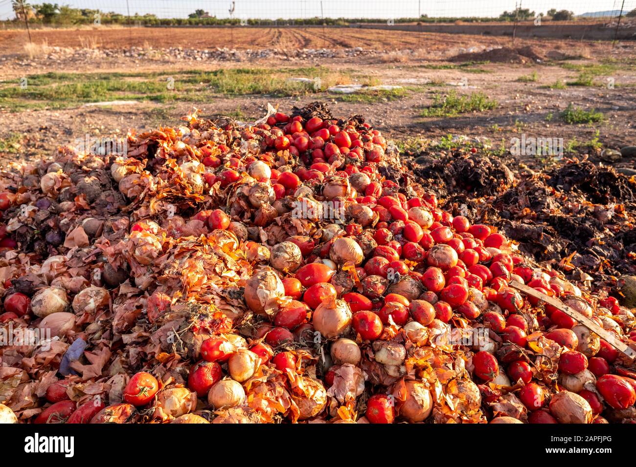 Vegetables thrown into a landfill, rotting outdoors Stock Photo - Alamy