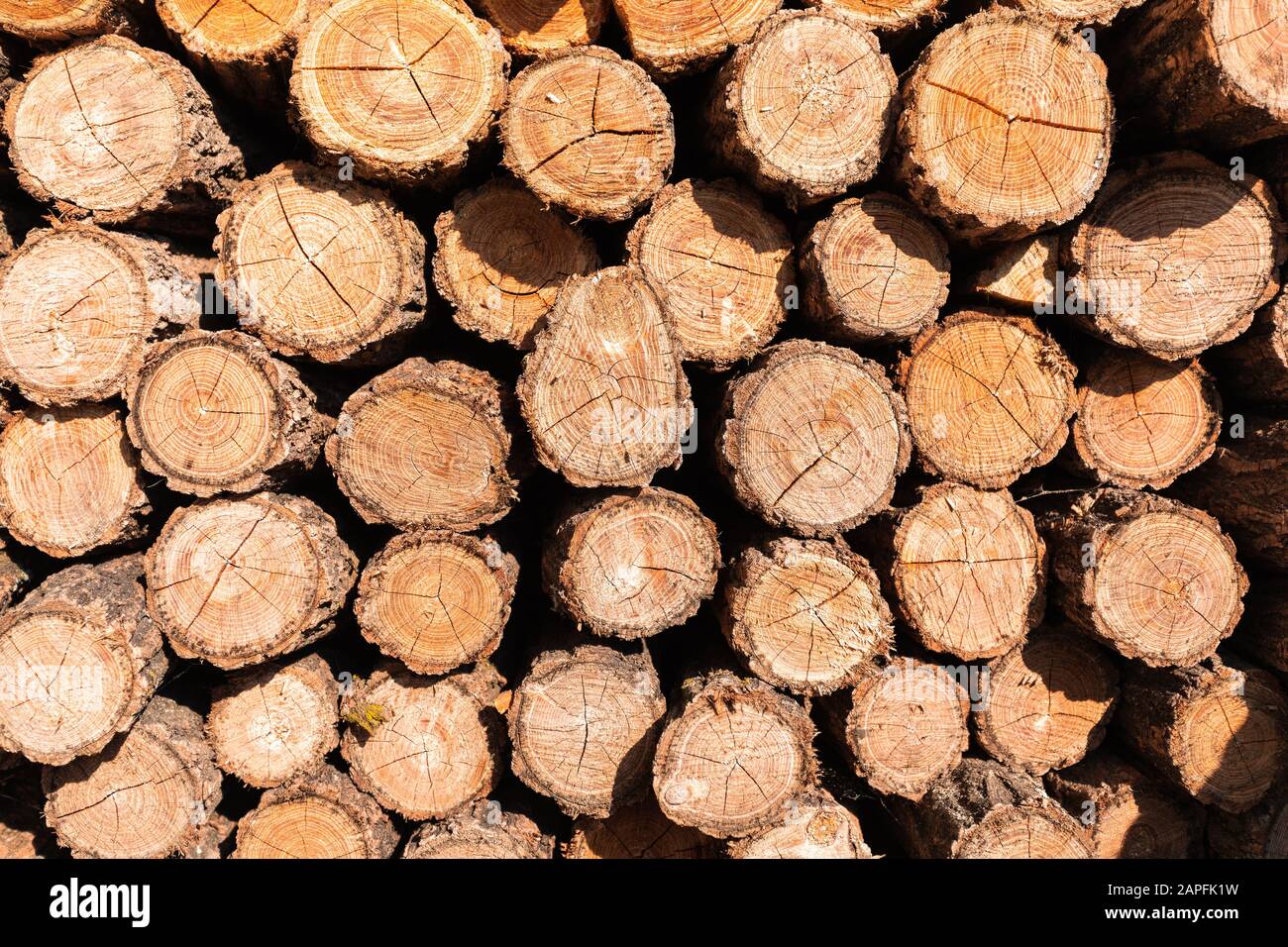 Wood cut texture background Stock Photo - Alamy