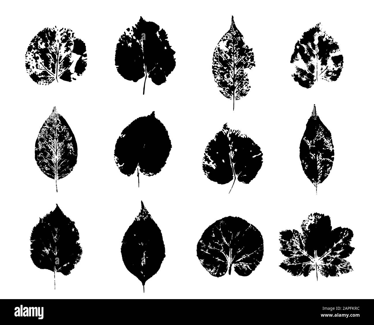 Leaves imprints set isolated on white background vector Stock Vector ...