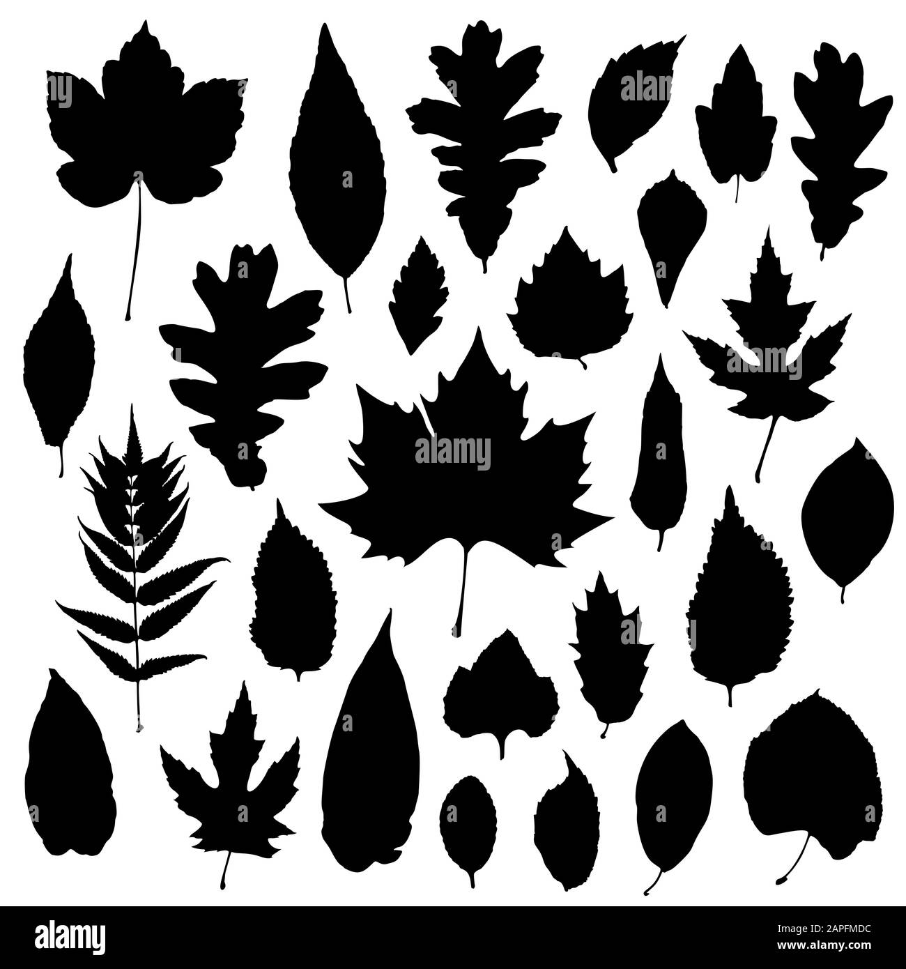 Leaves silhouettes set isolated on white background. Vector ...