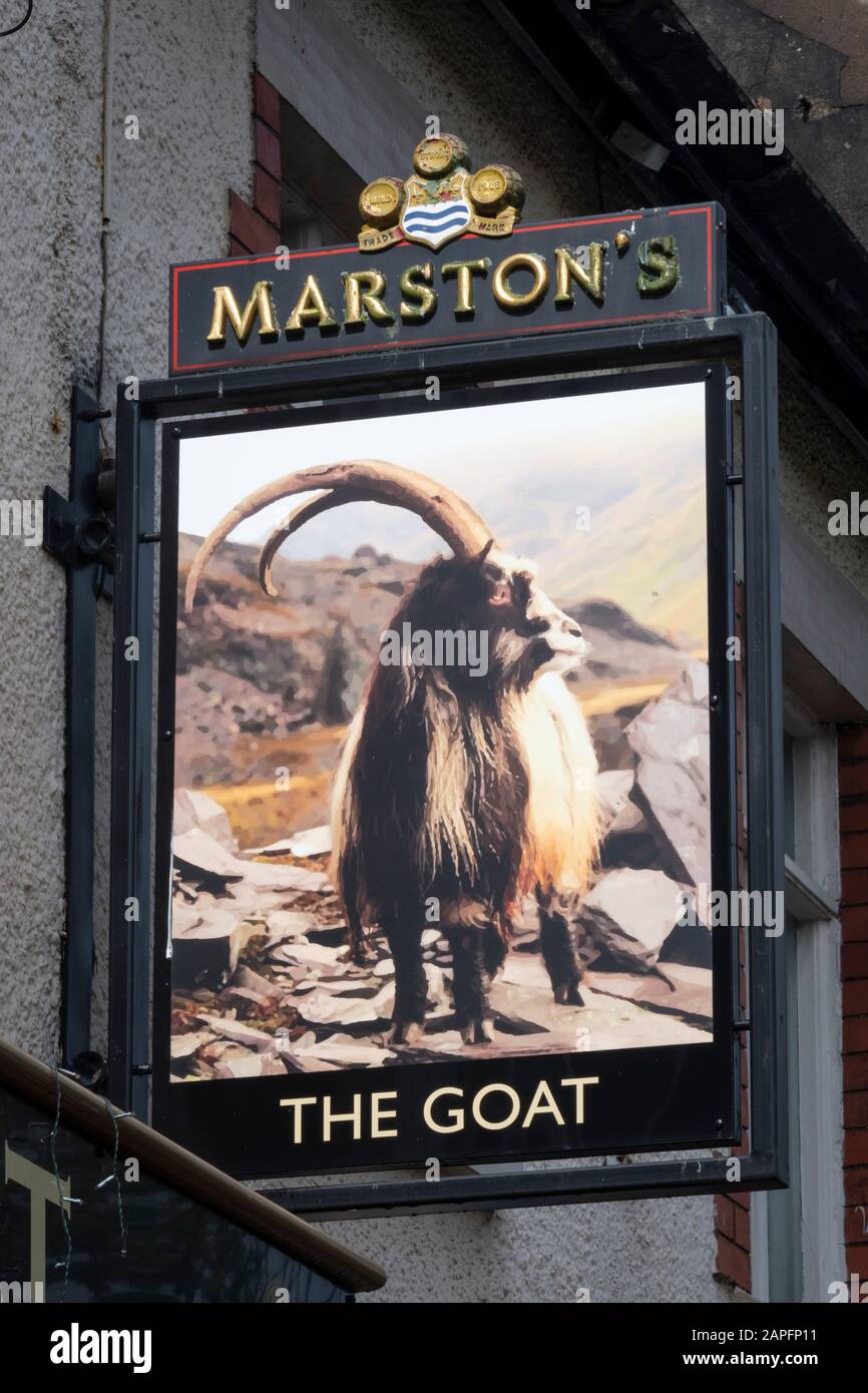 The Goat, pub sign, Bala, Wales Stock Photo - Alamy