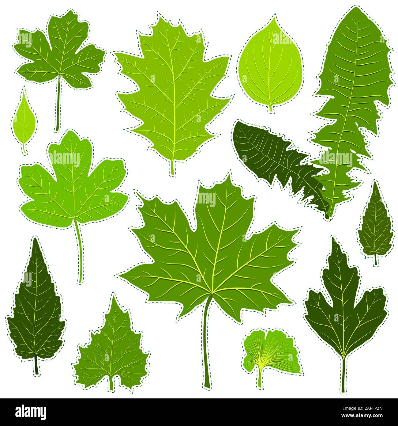Green leaves stickers on white background vector Stock Vector Image ...