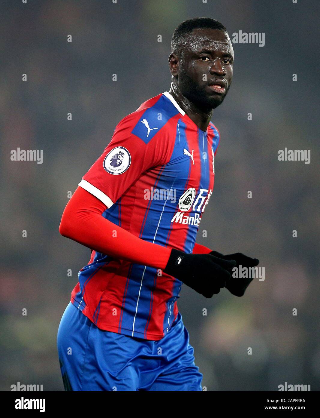 Crystal Palace's Cheikhou Kouyate in action during the Premier League ...
